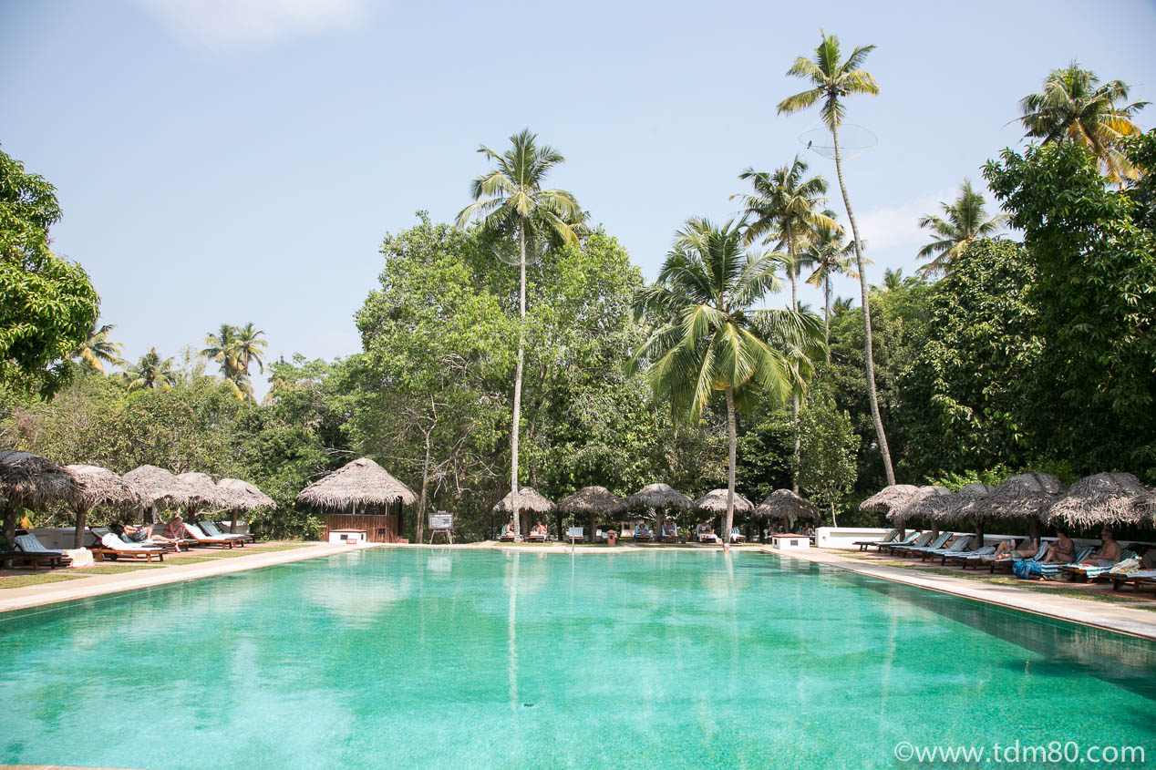 7 raisons qui m'ont fait adorer le Kerala - Le Tour du Monde à 80 cm