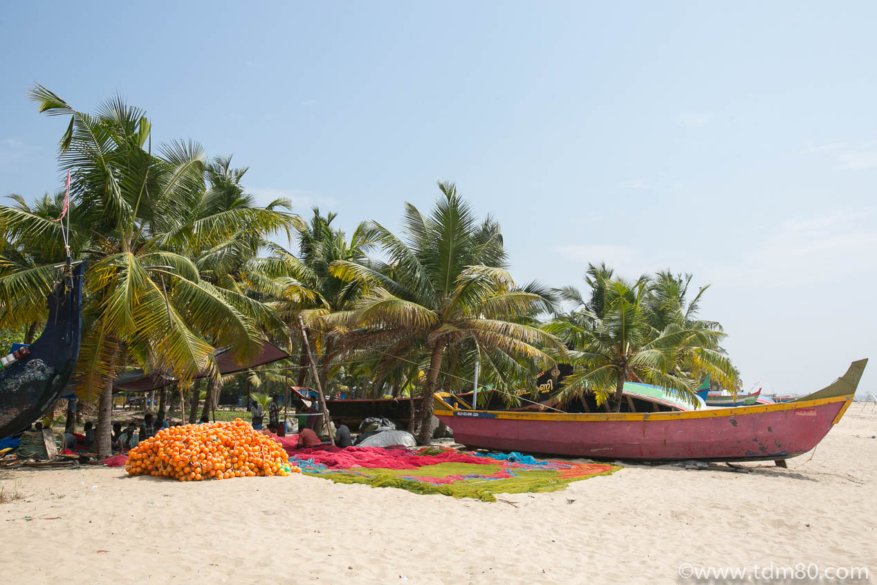 7 raisons qui m'ont fait adorer le Kerala - Le Tour du Monde à 80 cm