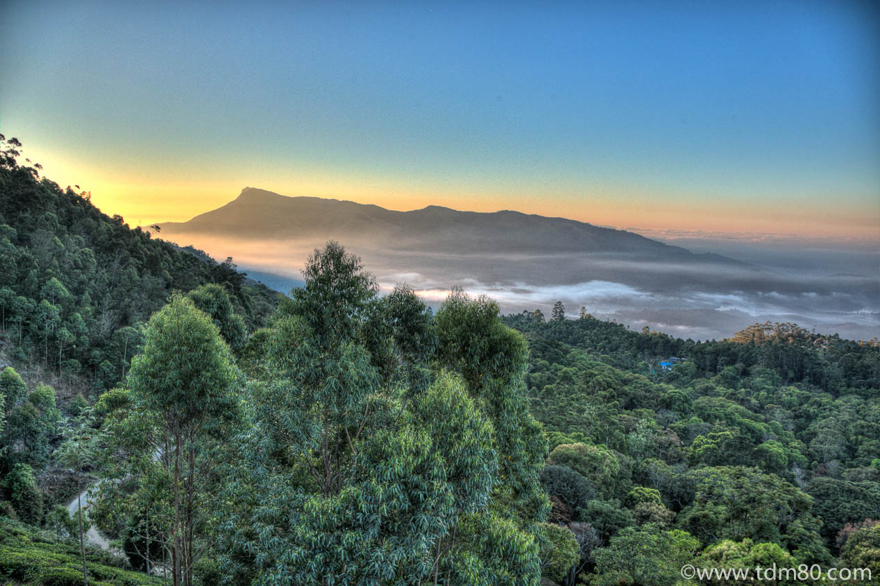 7 raisons qui m'ont fait adorer le Kerala - Le Tour du Monde à 80 cm