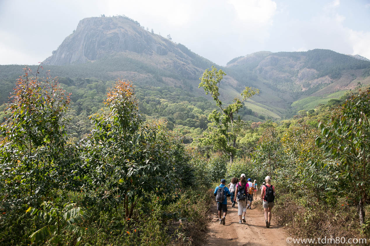 7 raisons qui m'ont fait adorer le Kerala - Le Tour du Monde à 80 cm